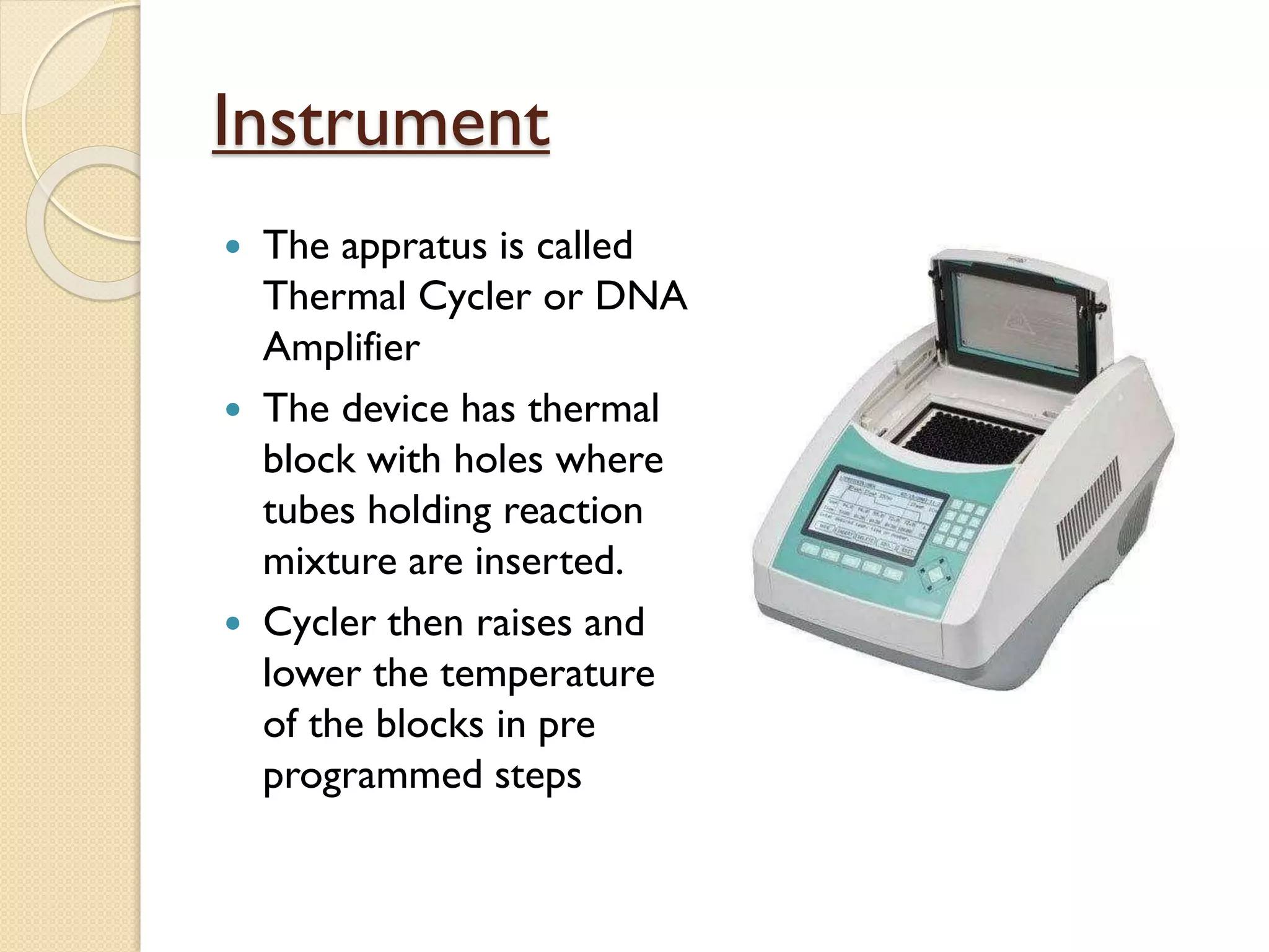 ppt presentation pcr.pdf