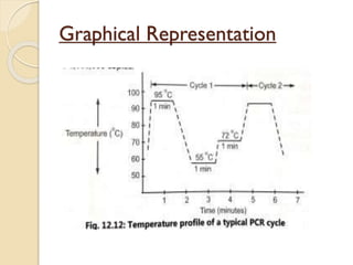 ppt presentation pcr.pdf