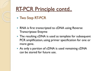 ppt presentation pcr.pdf