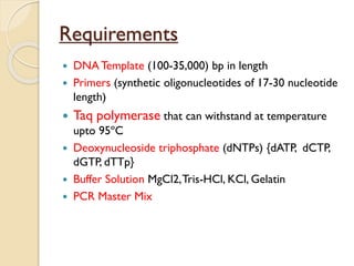 ppt presentation pcr.pdf
