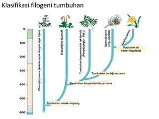 Angiospermae Reproduction and controls | PDF