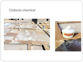 PPT PRESENTATION rahul edited.pptx