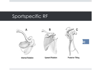 Shoulder Injury Prevention in MMA | PDF