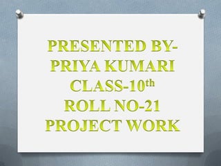 COMPUTER SYSTEM PROGRAM | PDF