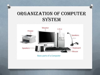 COMPUTER SYSTEM PROGRAM | PDF