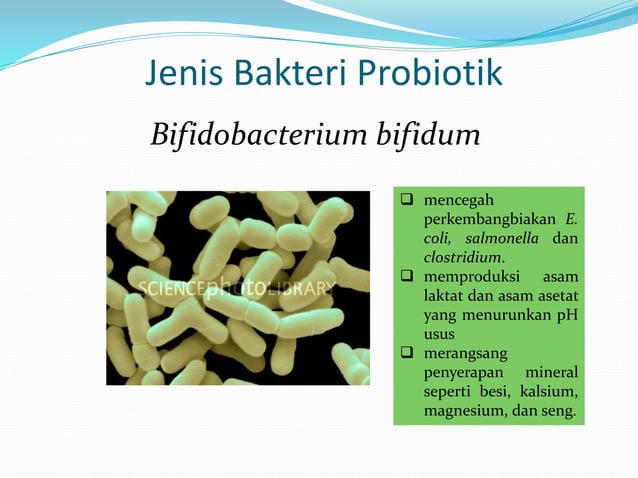 Penawaran probiotik untuk corporate (Industri makanan&minuman). | PPT