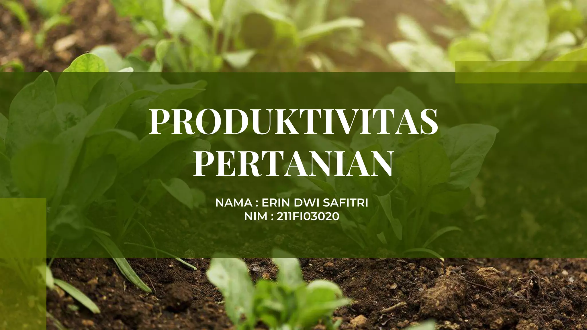 PPT Produktivitas Pertanian_Erin Dwi Safitri.pptx