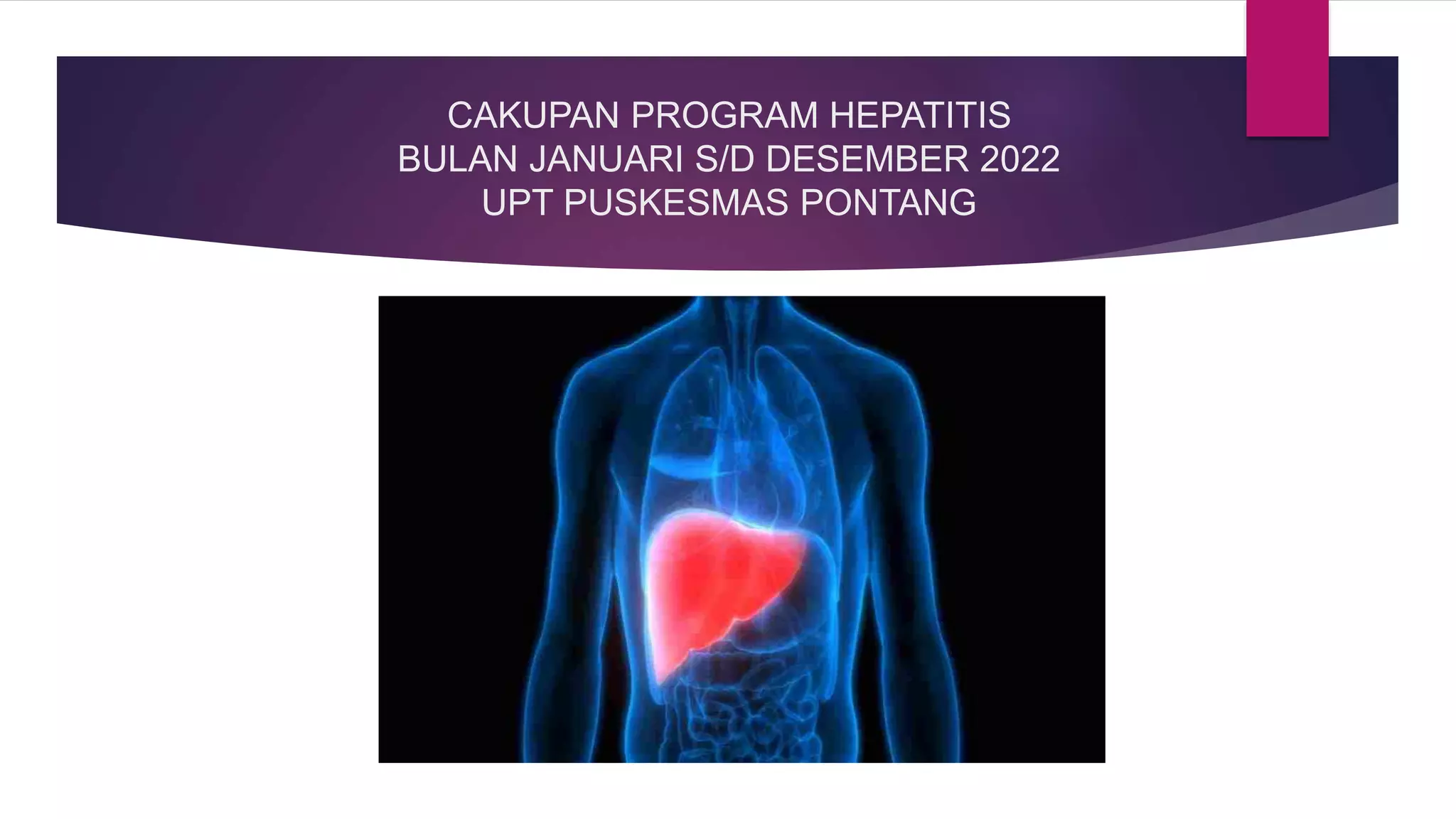 PPT PROGRAM DIARE.pptx