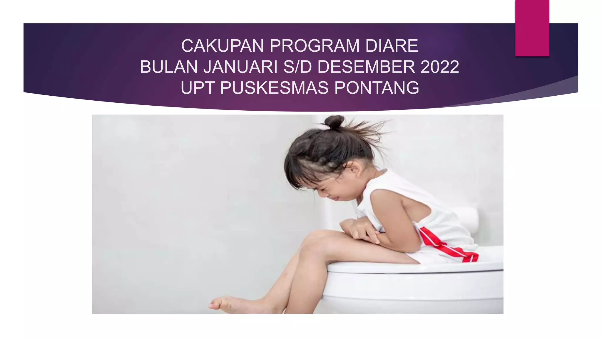 PPT PROGRAM DIARE.pptx