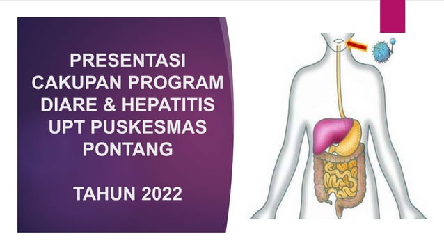 PPT PROGRAM DIARE.pptx