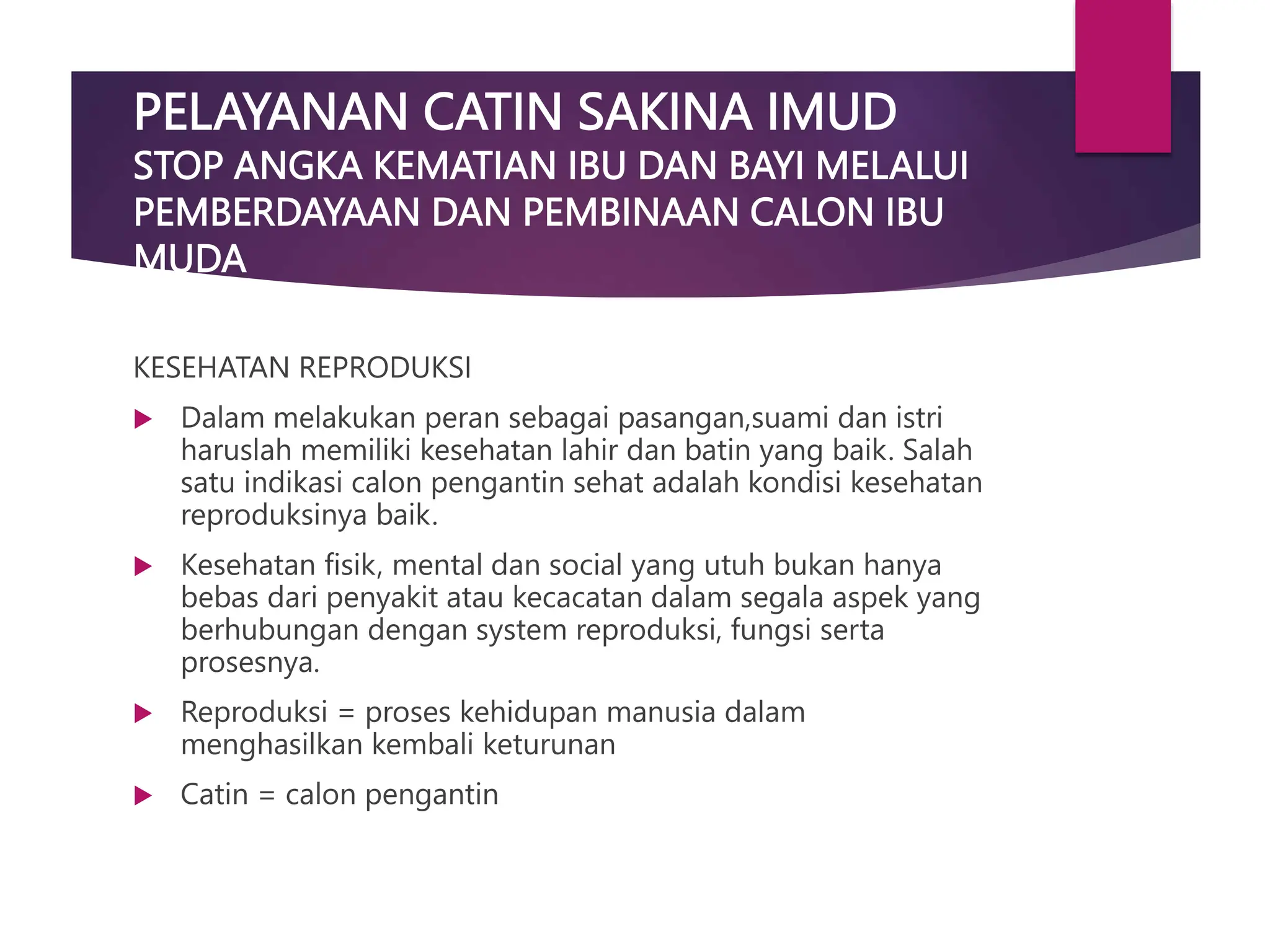 PPT PROG CATIN SAKINA IMUD PUSKESMAS- 2024.pptx