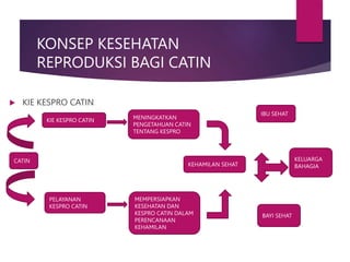 PPT PROG CATIN SAKINA IMUD PUSKESMAS- 2024.pptx