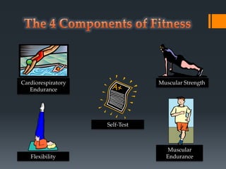 4 Components of Fitness | PPT