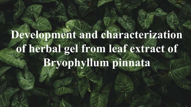 Development and characterization of herbal gel from leaf extract of ...