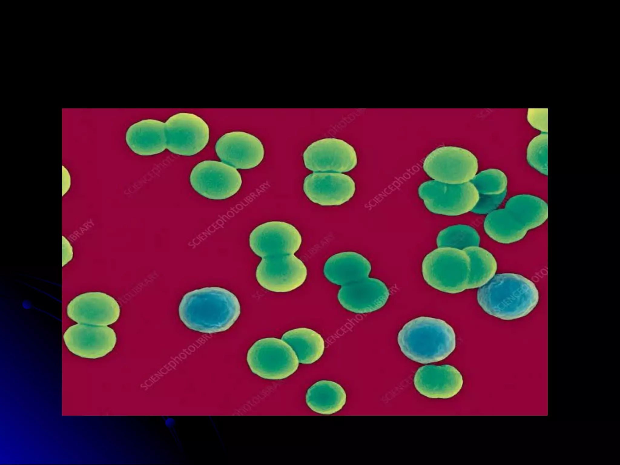 Ppt Prokaryotes Vs Eukaryotespptxpdf 
