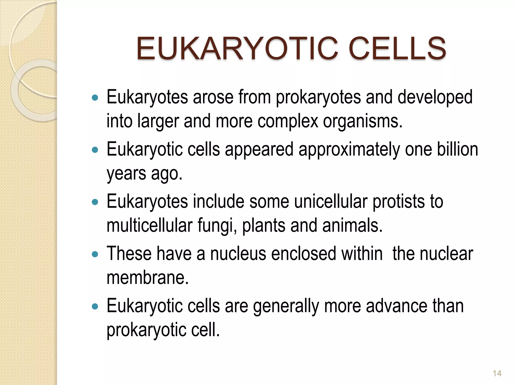 prokaryotic and eukaryotic cell | PPTX