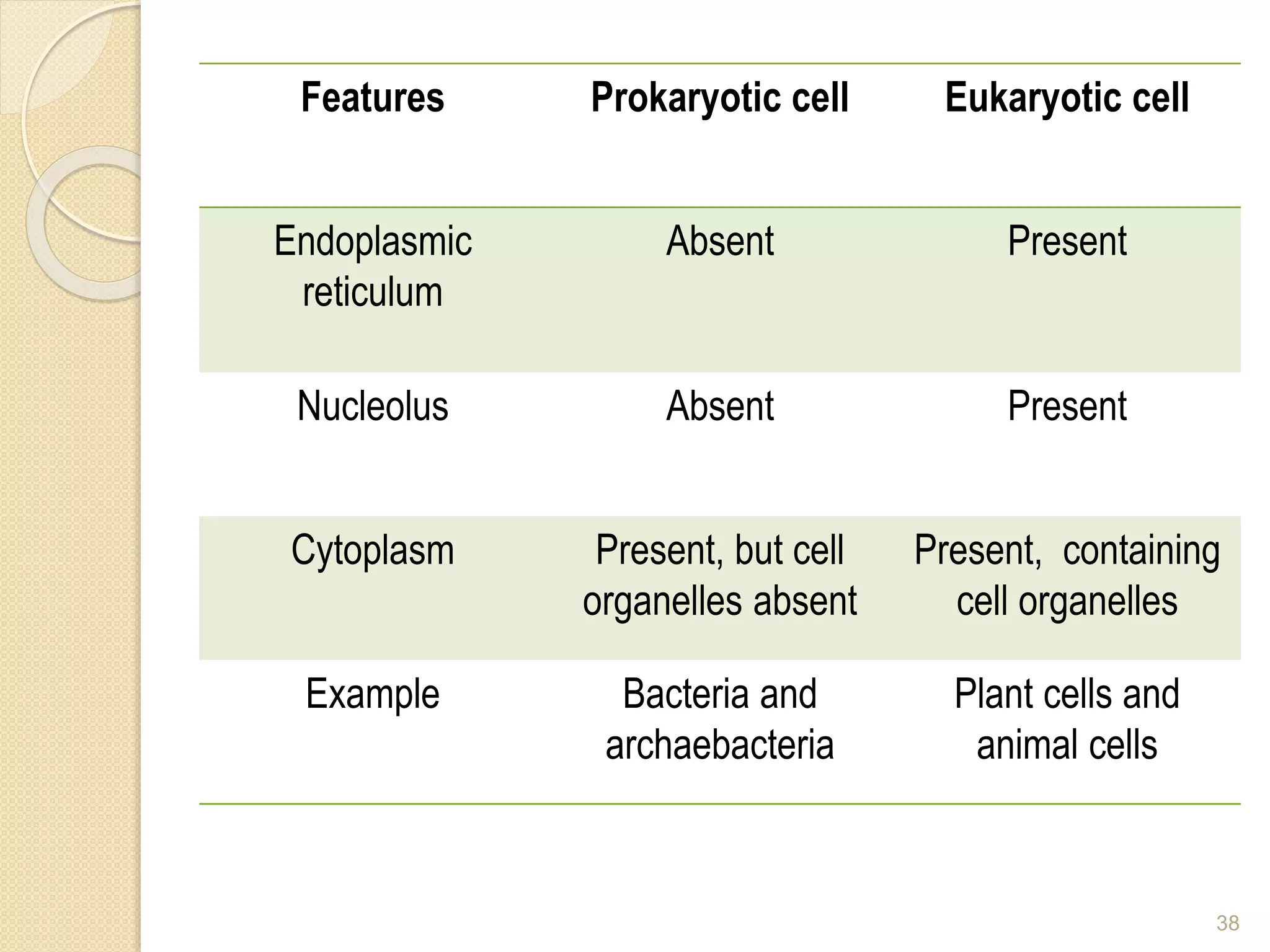 prokaryotic and eukaryotic cell | PPTX