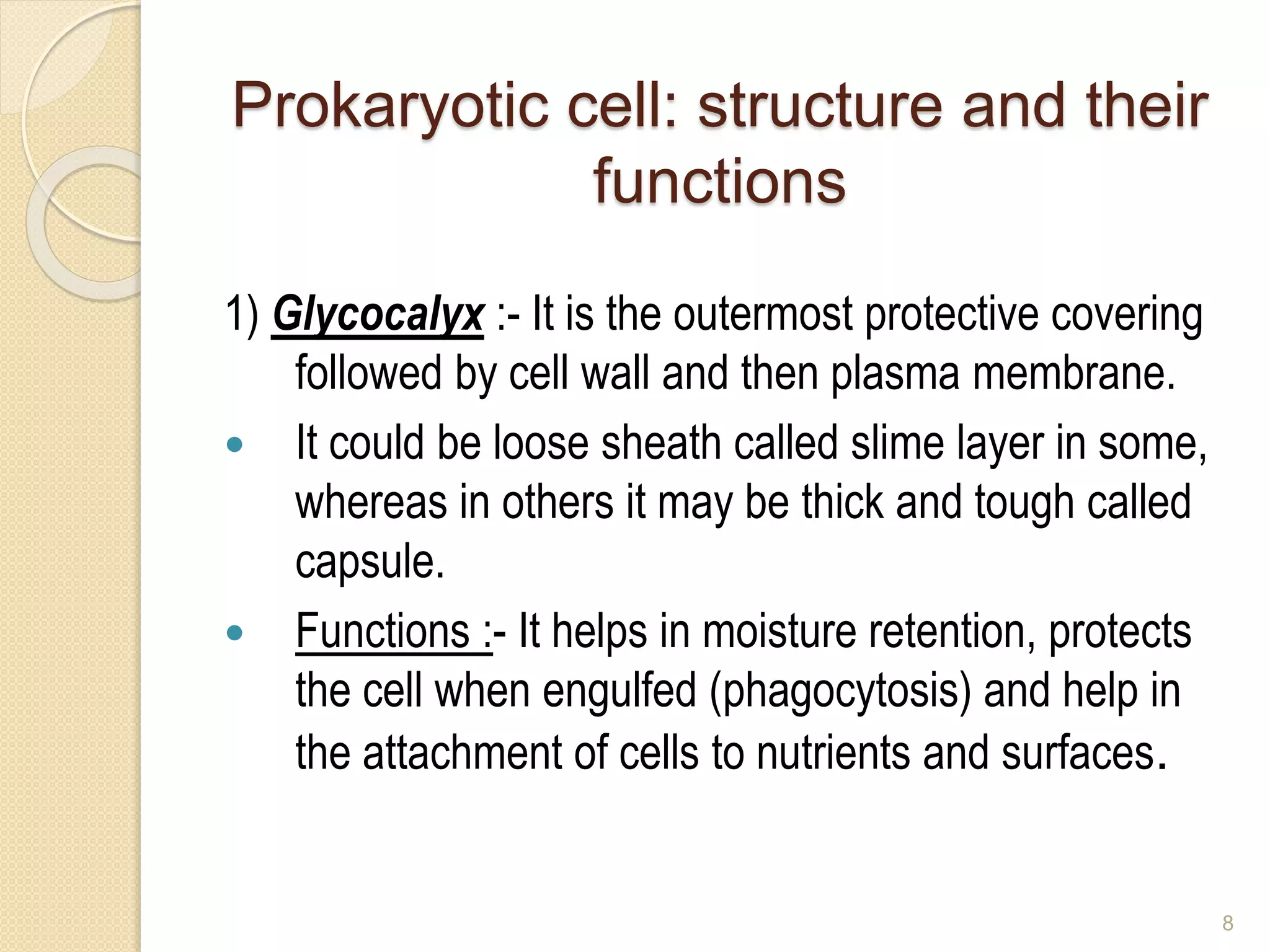 prokaryotic and eukaryotic cell | PPTX