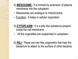 prokaryotic and eukaryotic cell | PPTX