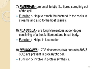 prokaryotic and eukaryotic cell | PPTX