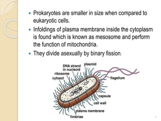 prokaryotic and eukaryotic cell | PPTX
