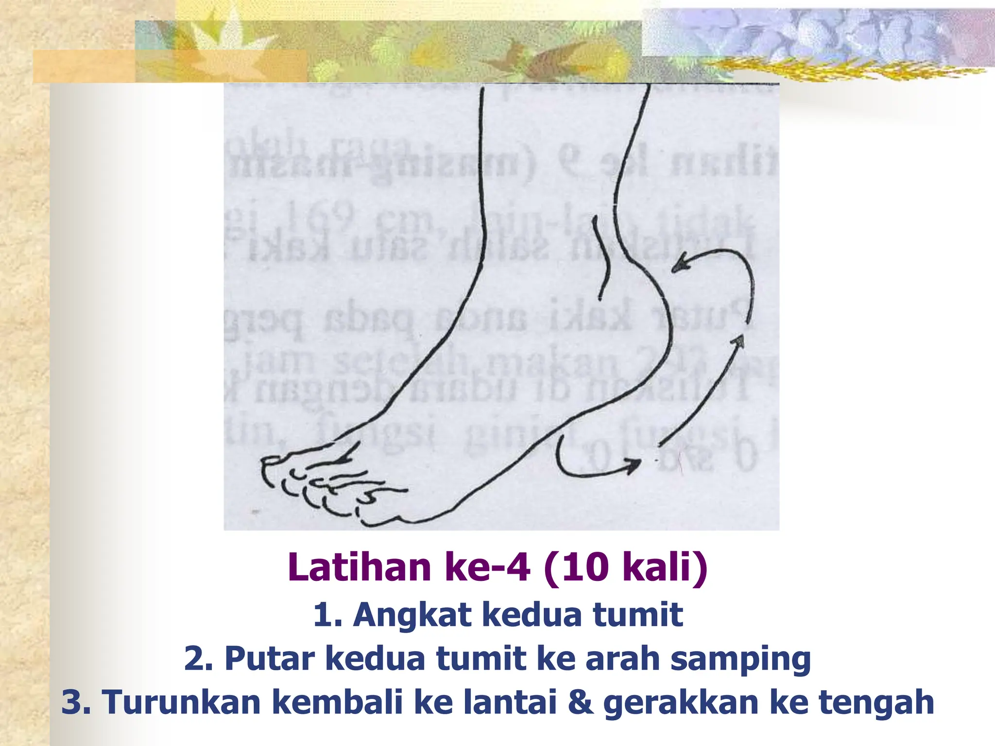 PPT PROLANIS JUNI.ppt