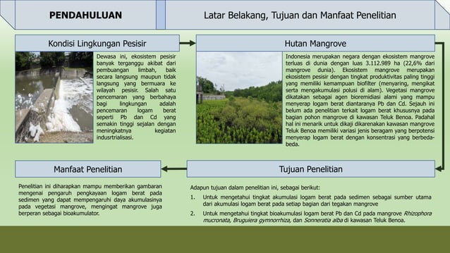 PPT PROPOSAL BIOAKUMULASI LOGAM BERAT Pb DAN Cd PADA MANGROVE DI ...