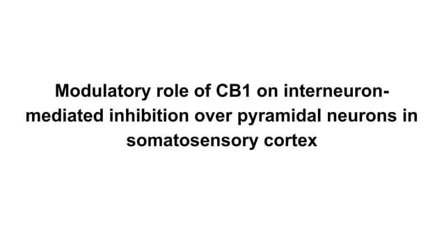 Modulatory role of CB1 on interneuron-mediated inhibition over ...