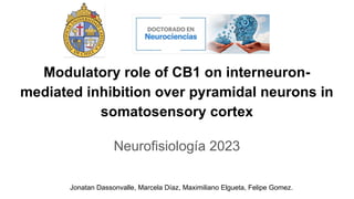 Modulatory role of CB1 on interneuron-mediated inhibition over ...