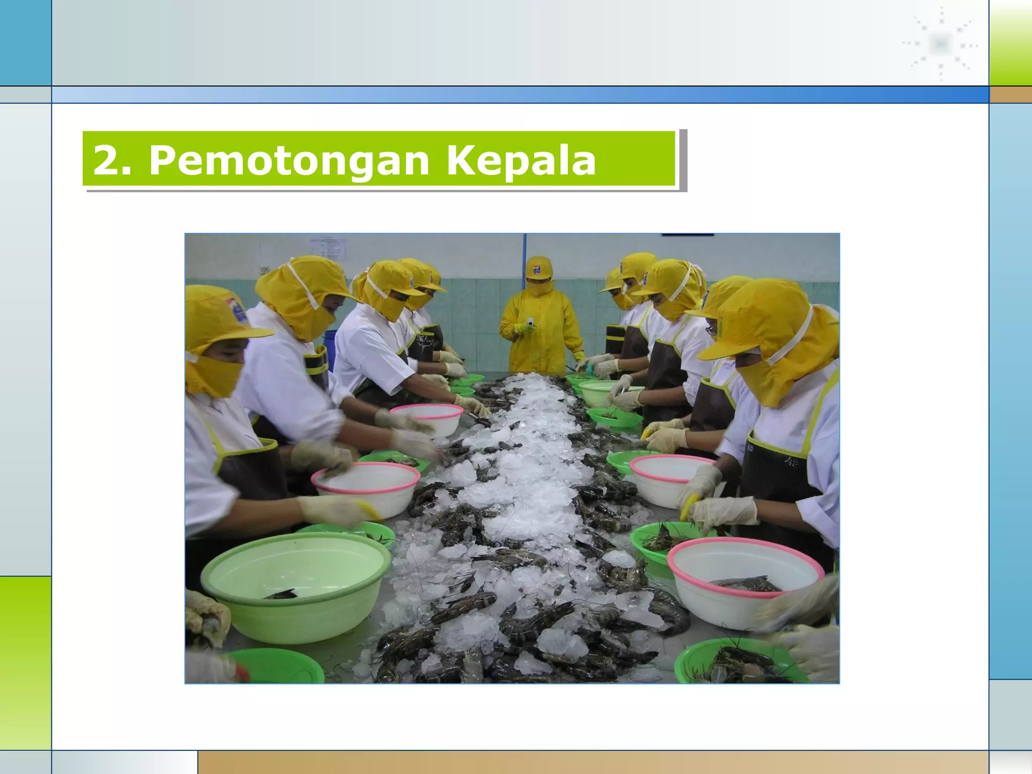 Ppt proses pembekuan udang putih pnd stpp | PPT