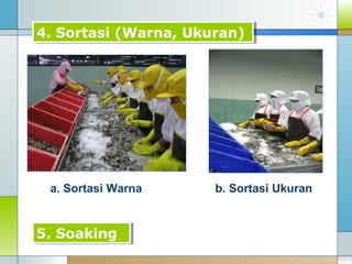 Ppt proses pembekuan udang putih pnd stpp | PPT