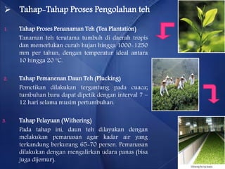 Ppt proses penggolahan teh firman ahyuda | PPTX