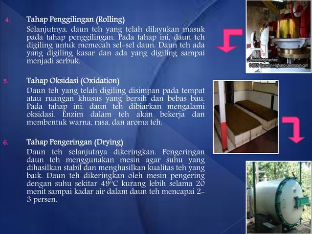 Ppt proses penggolahan teh firman ahyuda | PPTX
