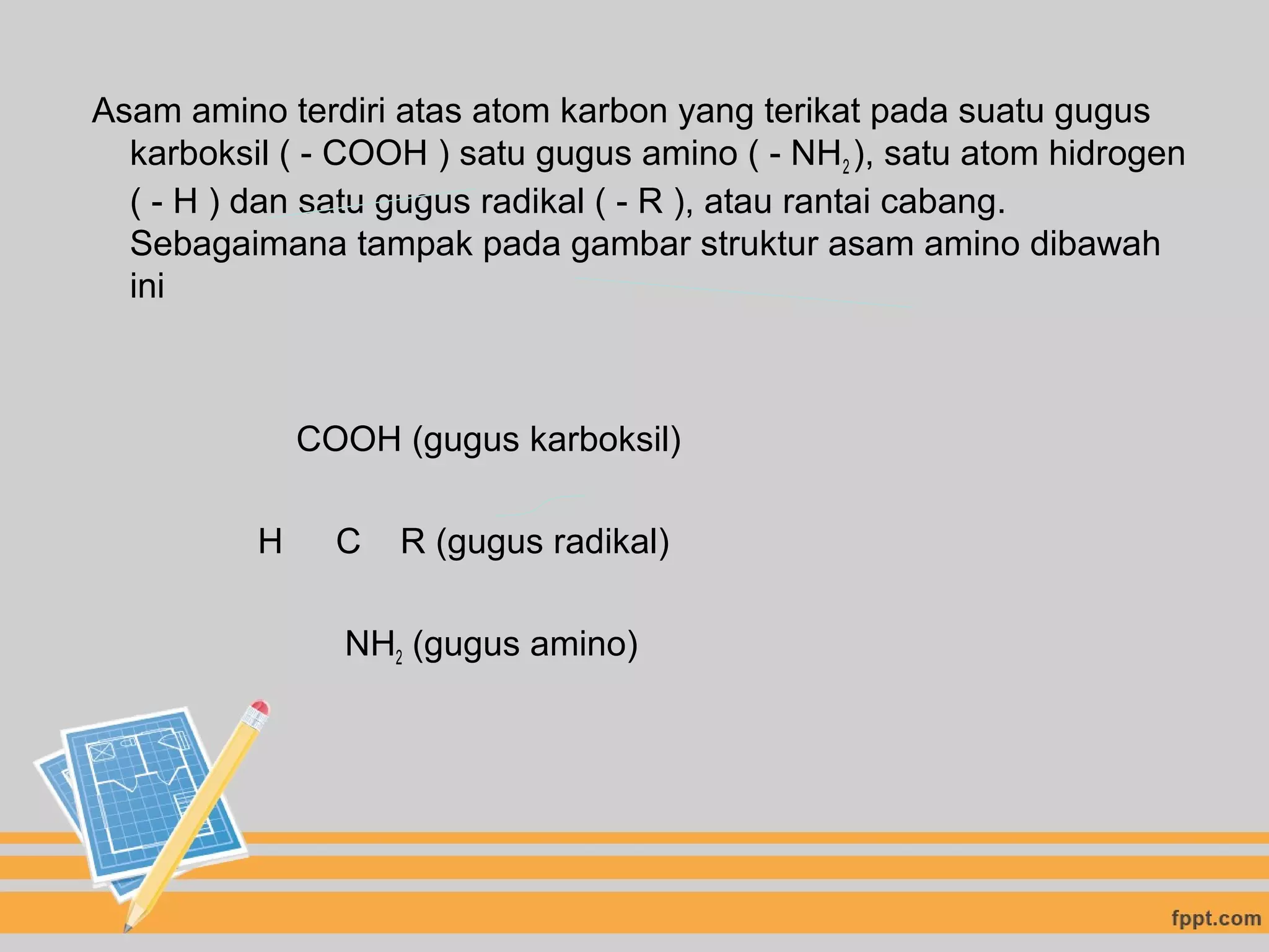 Ppt protein | PPT