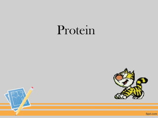 Ppt protein | PPT