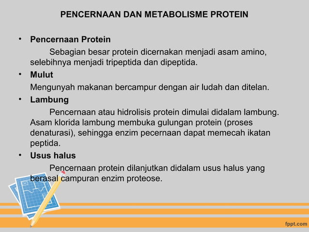 Ppt protein | PPT