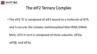 Translation Initiation in Eukaryotes | PPTX