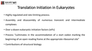 Translation Initiation in Eukaryotes | PPTX