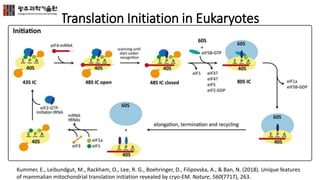 Translation Initiation in Eukaryotes | PPTX