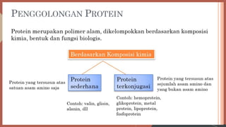 PPT Protein.pptx