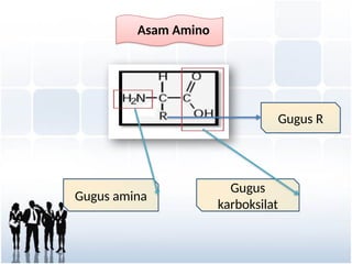 struktur dan tata nama protein kimia kelas XII | PPTX