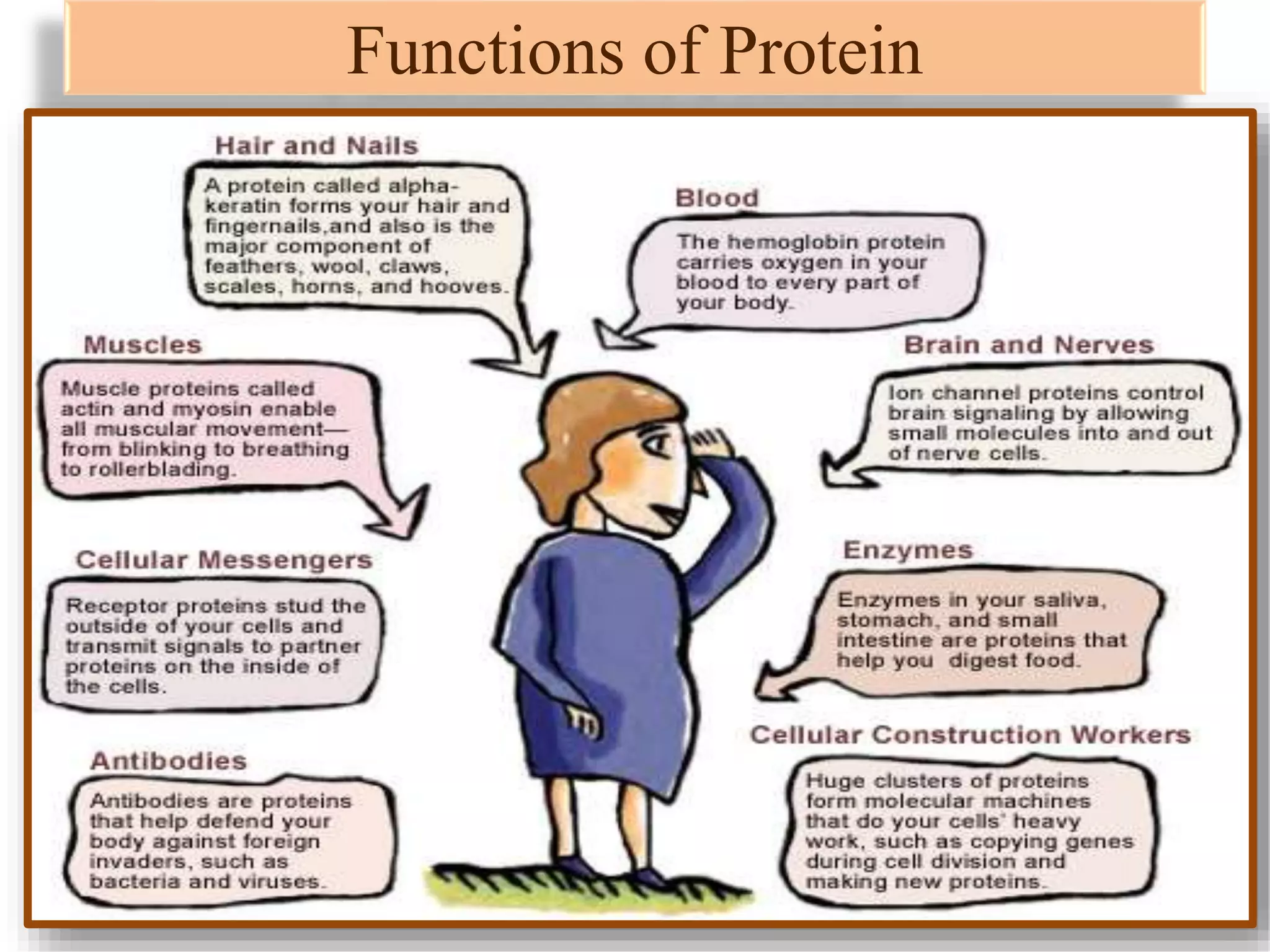 Ppt protein quality & novel protein sources | PPTX
