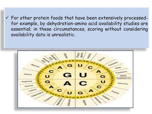 Ppt protein quality & novel protein sources | PPTX | Nutrition ...