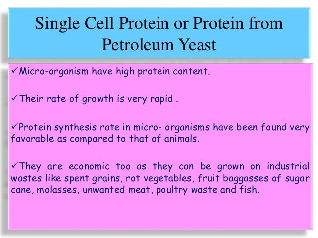 Protein Synthesis Simplified Presentation Cell Biology