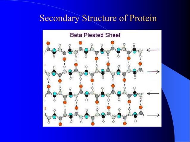 ppt proteins.ppt