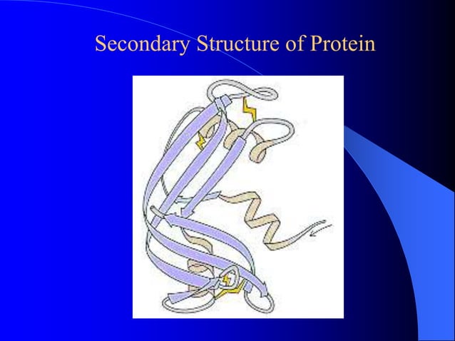 ppt proteins.ppt