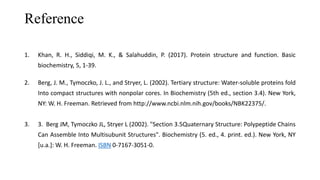 PPT Protein Structure.pptx