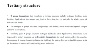 PPT Protein Structure.pptx