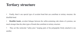 PPT Protein Structure.pptx