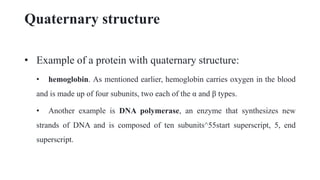 PPT Protein Structure.pptx